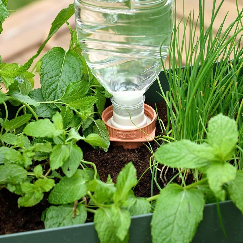 Aquasolo Universal Watering Cone | Holbury Hardware Stores