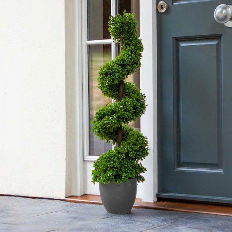 Topiary Twirl Tree | Holbury Hardware Stores