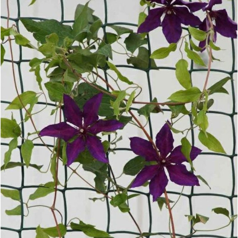 General Purpose Garden Mesh, Green - 20mm, 0.5 x 5m | Holbury Hardware ...