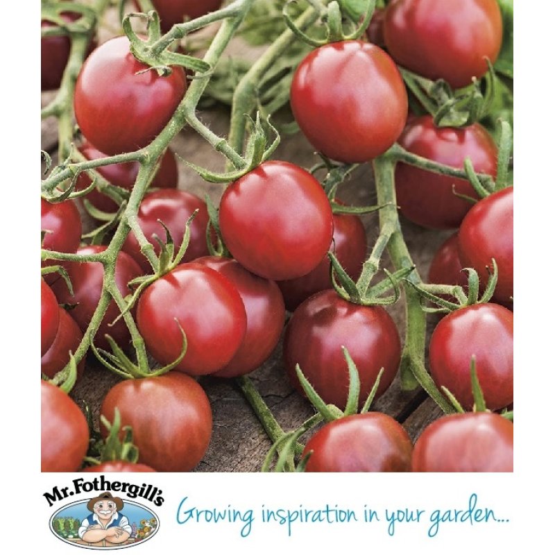 Tomato (Cherry) Black Opal Seeds | Holbury Hardware Stores