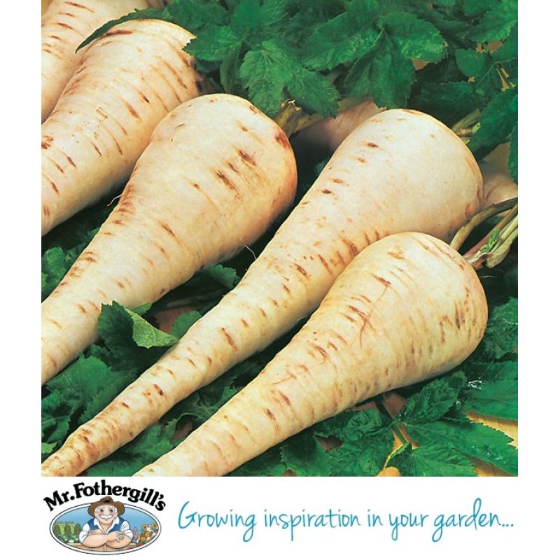 Parsnip Gladiator F1 | Holbury Hardware Stores